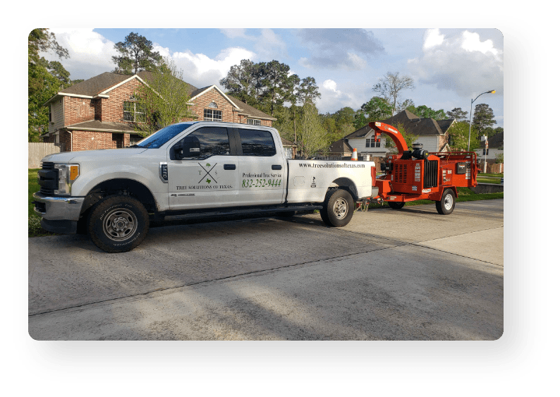 Greater Houston Tree Service | Tree Solutions of Texas | Tree Solutions ...