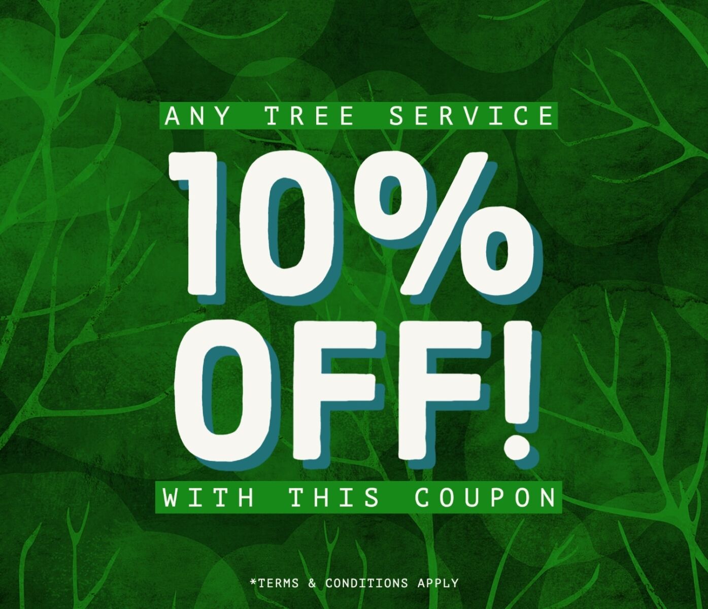 Greater Houston Tree Service | Tree Solutions of Texas | Tree Solutions ...