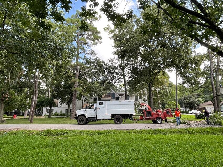 FREE ESTIMATE | Tree Solutions of Texas